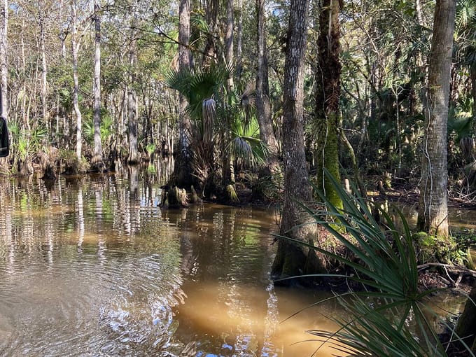 babcock ranch eco tours 2