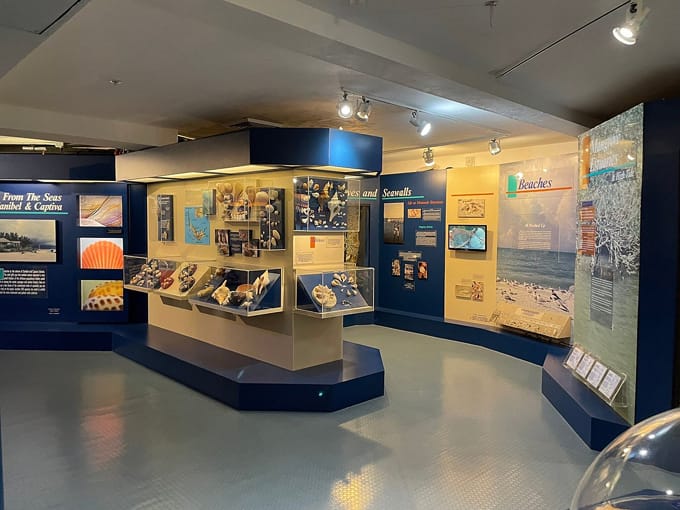 bailey matthews national shell museum 2