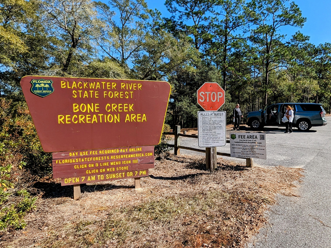 blackwater river state forest 1