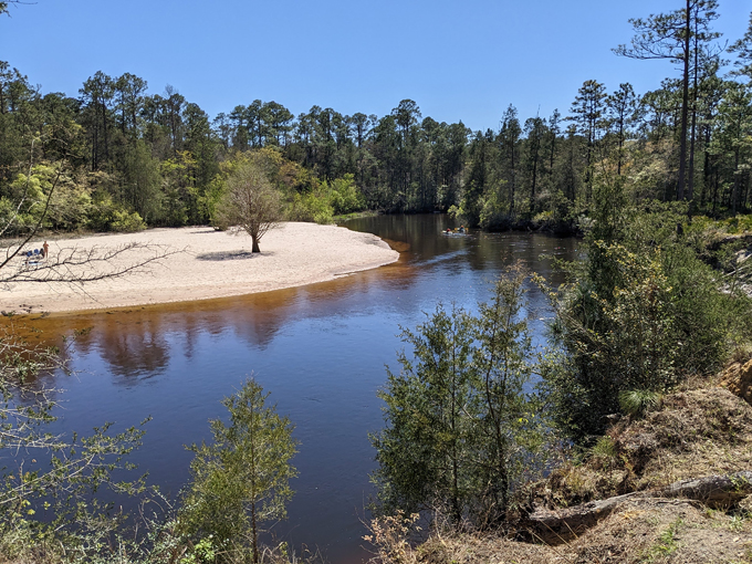 blackwater river state forest 3