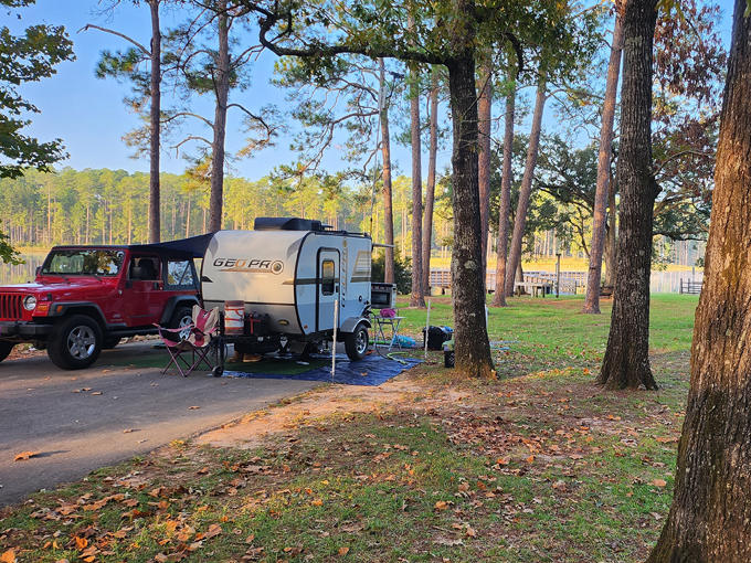 blackwater river state forest 6