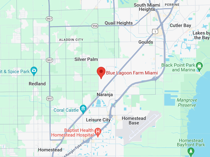 blue lagoon farm 10 map