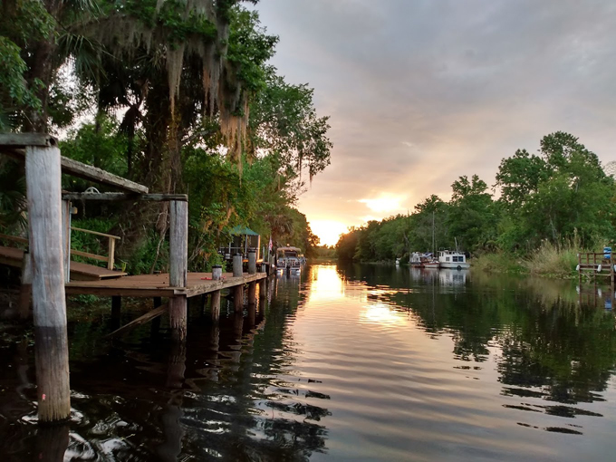 blue spring state park 7