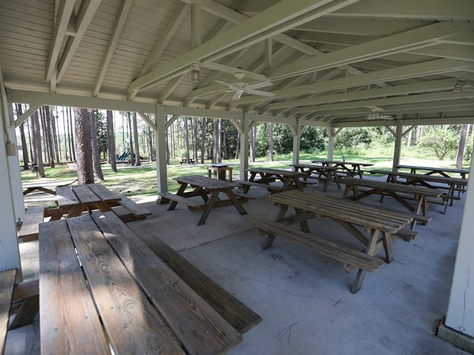 blue spring state park 8