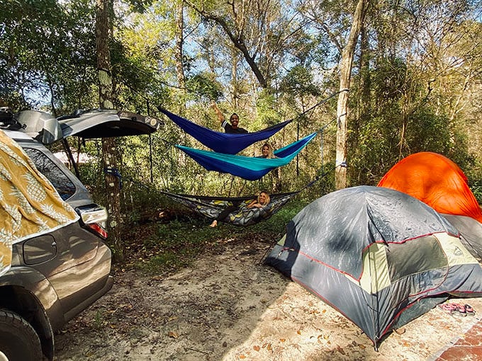 blue spring state park 9