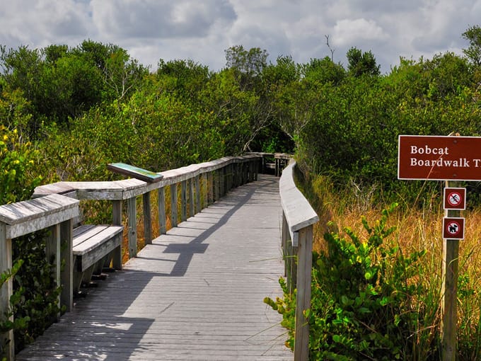 bobcat boardwalk trail 2