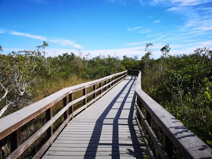 bobcat boardwalk trail 4