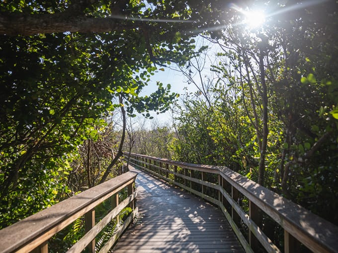bobcat boardwalk trail 5