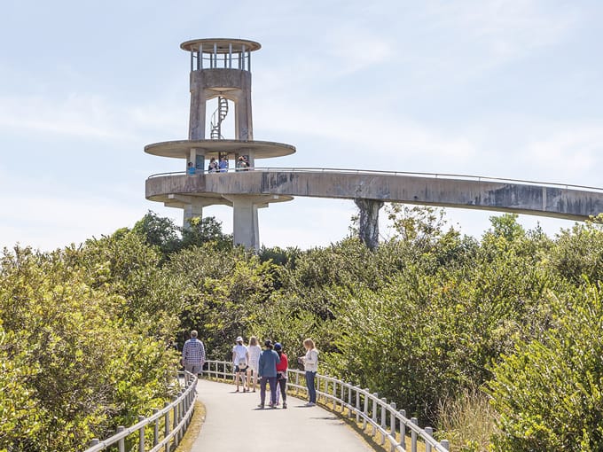 bobcat boardwalk trail 6