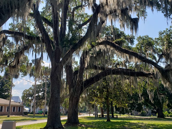 bronson mulholland house 4