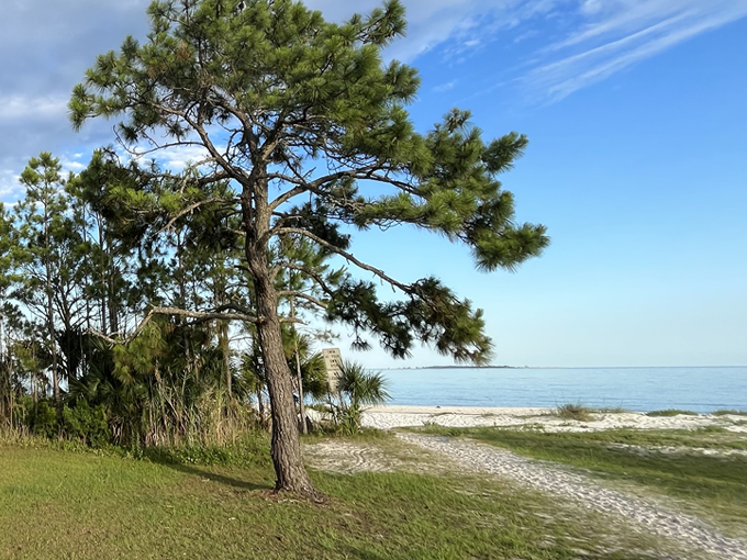 carrabelle beach 9