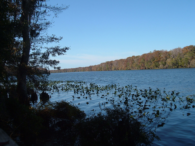 cedar key scrub state reserve 7