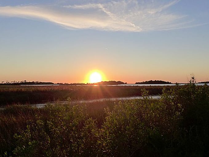 cedar key scrub state reserve 9