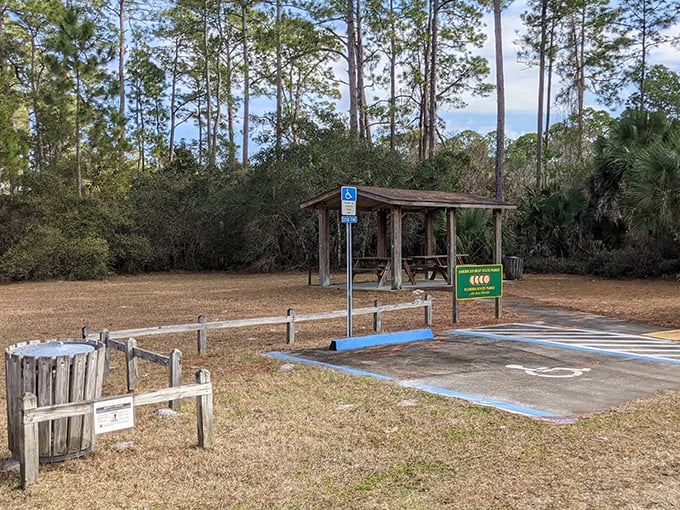 cedar key scrub state reserve