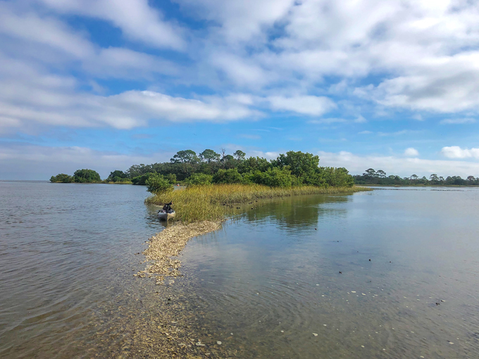cedar keys national wildlife refuge 3