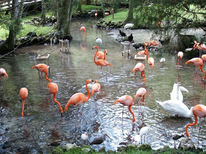 cedar keys national wildlife refuge 7