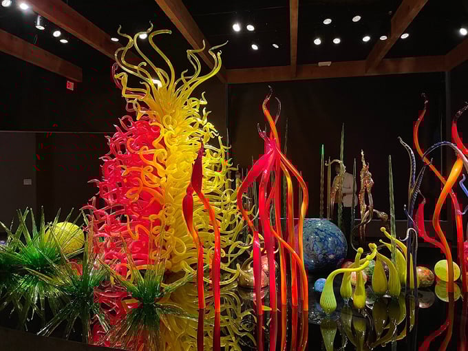 chihuly collection 9