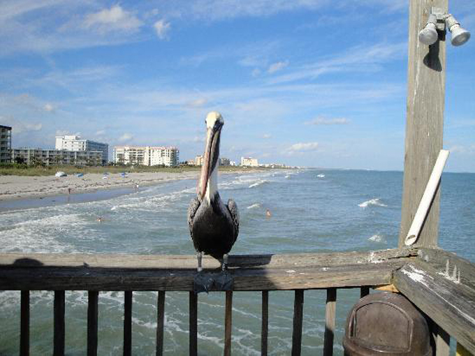 cocoa beach pier 9