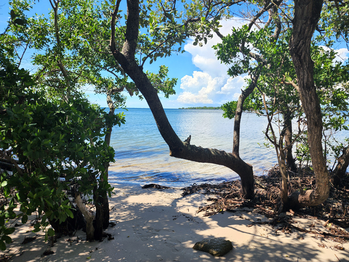 de soto national memorial 2