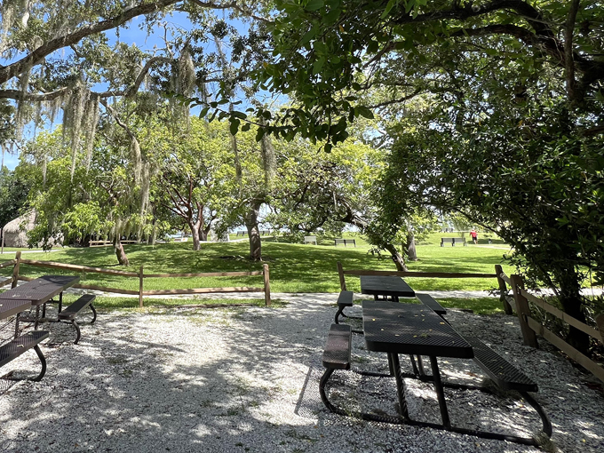 de soto national memorial 4