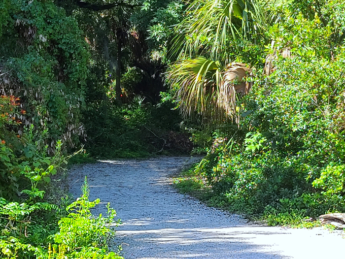 de soto national memorial 5