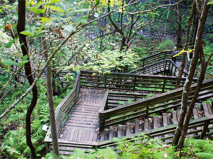 devils millhopper geological state park gainesville