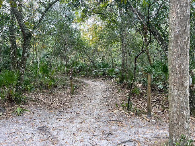 doris leeper spruce creek preserve 1