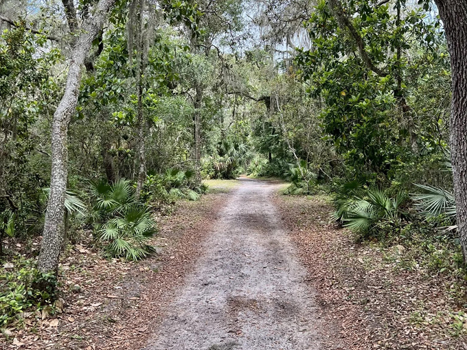 doris leeper spruce creek preserve 2