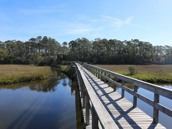 doris leeper spruce creek preserve 5