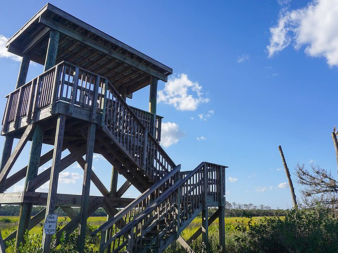 doris leeper spruce creek preserve 6