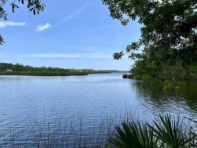 doris leeper spruce creek preserve 7