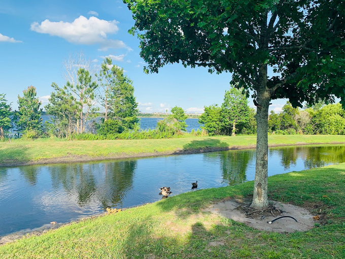 dr. p. phillips community park 2