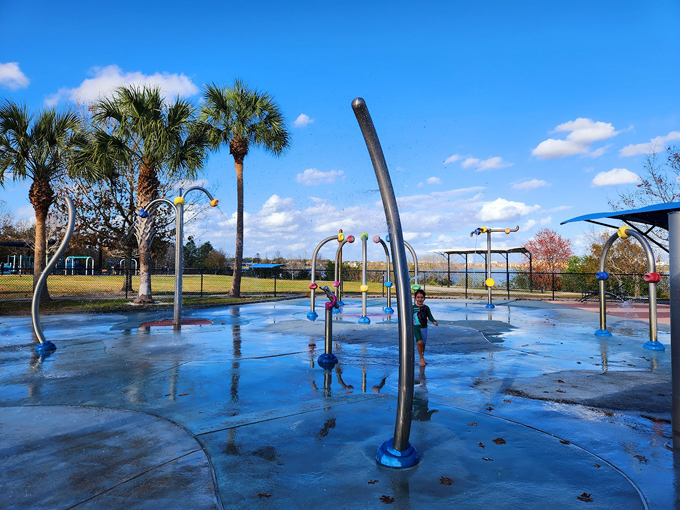 dr. p. phillips community park 7
