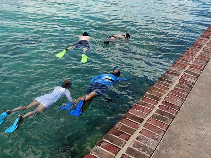 dry tortugas national park 6