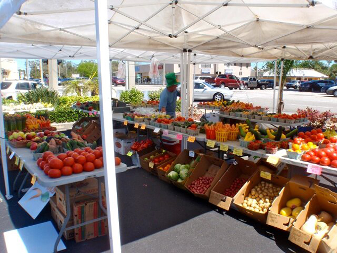 eau gallie arts district 8