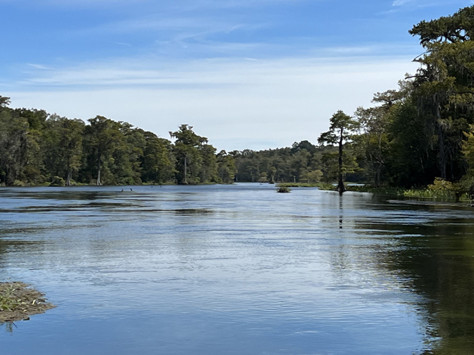 edward ball wakulla springs state park wakulla springs