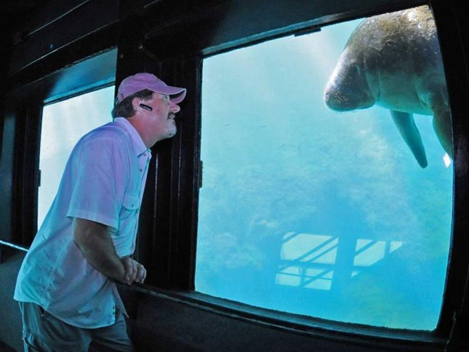 ellie schiller homosassa springs wildlife state park 8