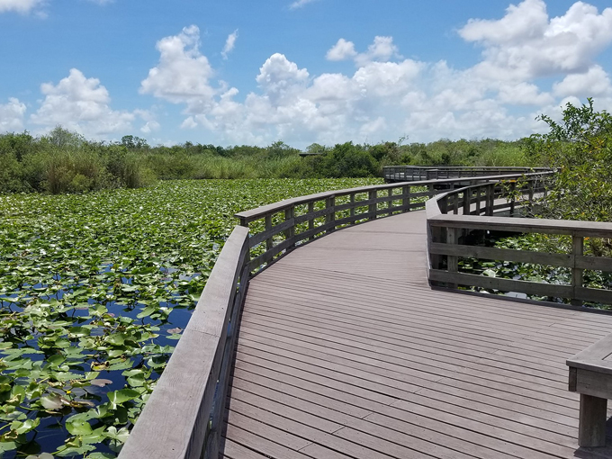 everglades national park