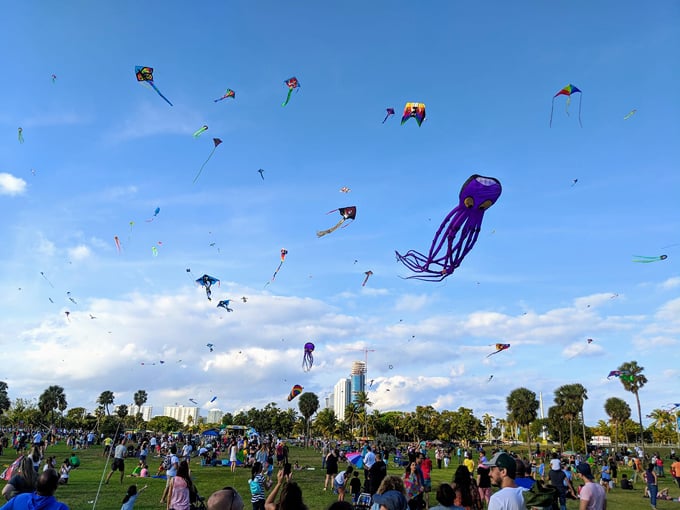 february &mdash; kite days festival