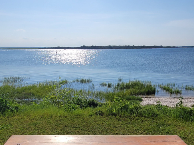 fernandina plaza historic state park 5