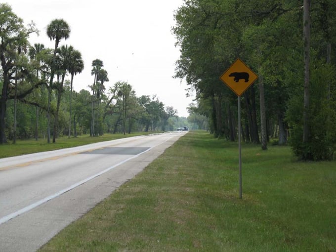 florida black bear scenic byway