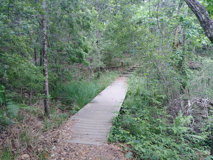 gulf islands national seashore 3