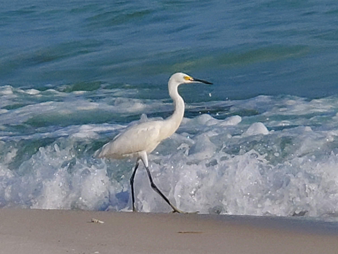 gulf islands national seashore 6