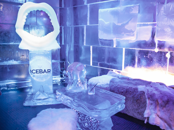 icebar orlando 3