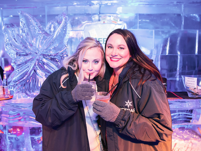 icebar orlando 7