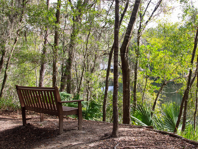 jacksonville arboretum gardens 7