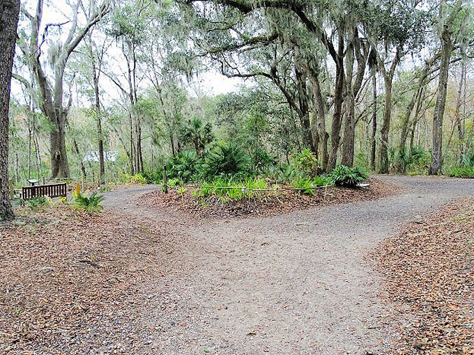 jacksonville arboretum gardens 9