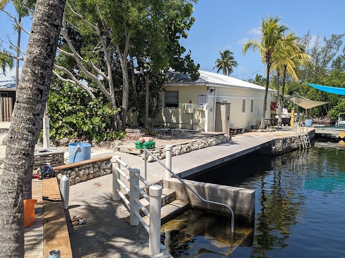 jules undersea lodge 2