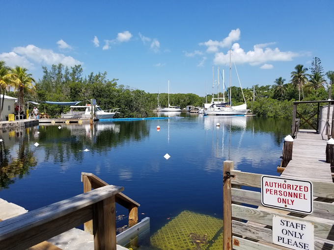 jules undersea lodge 9