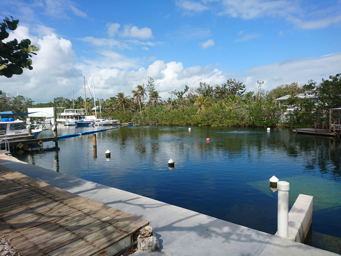 jules undersea lodge 9